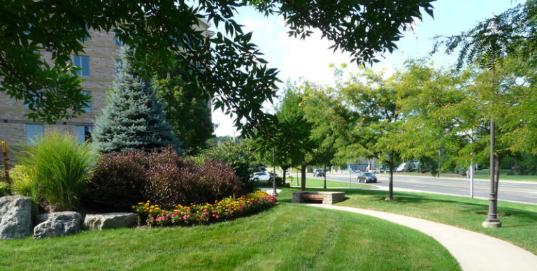 Photo Gallery – Evergreen Terrace